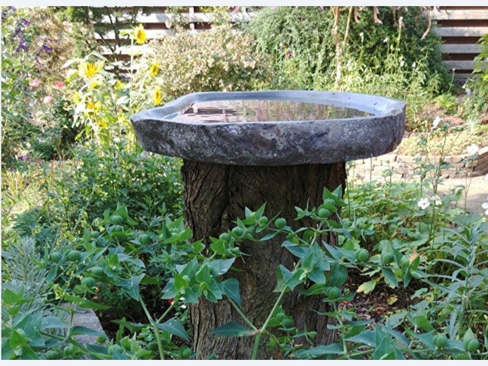 Vogelbad - Buddha4all.nl