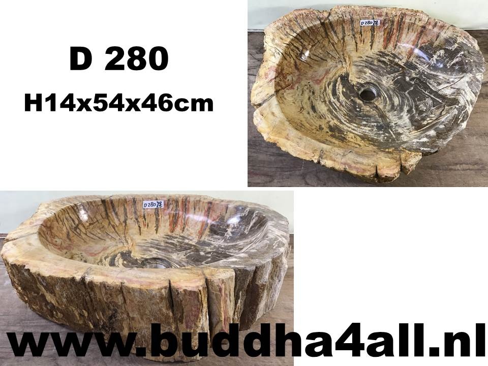 Versteend hout waskommen - Buddha4all - Thijs Noldus Art of Nature
